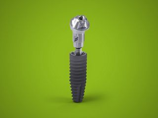 The Straumann Dental Implant System